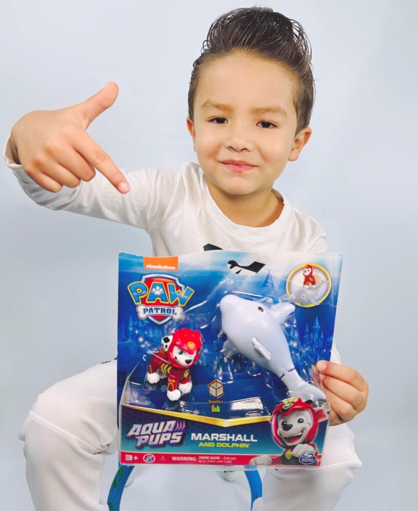 PAW Patrol Aqua Hero Pups Marshall y Delfín – Open Box