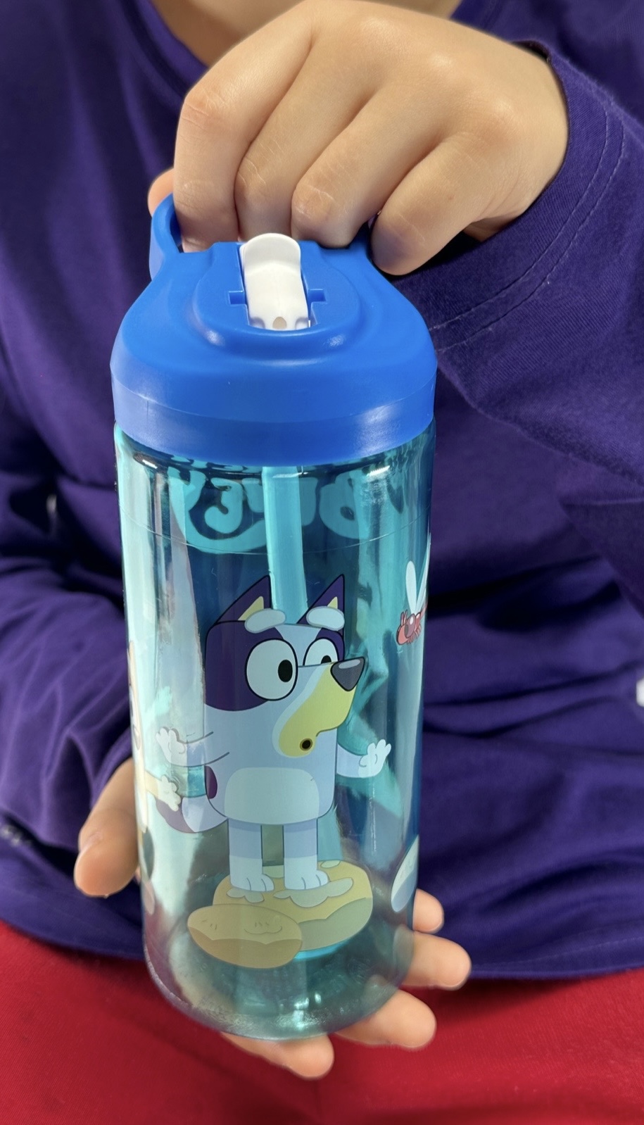 Bluey Pachón de plástico de 16.5 onzas – Open Box
